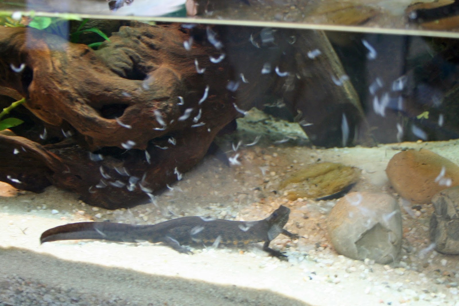 Der Museumsblog: Tierpfleger