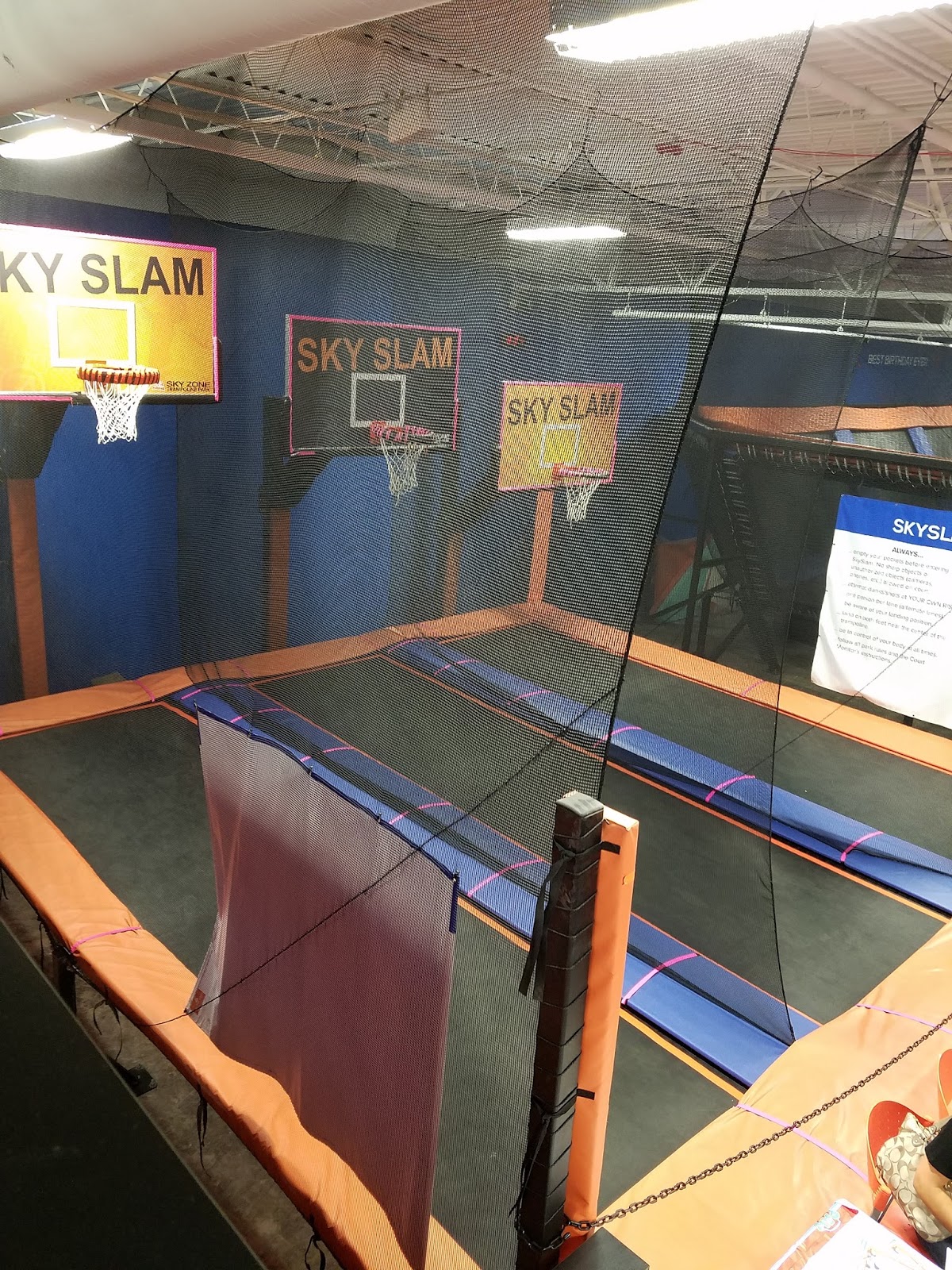 Play St. Louis: Sky Zone Trampoline Park, Fenton