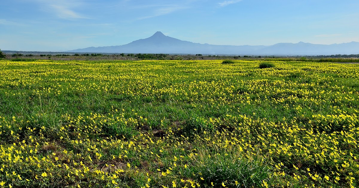 Iconic Mt. Matutum | SOCCSKSARGEN, Philippines #SOXph by Nanardx