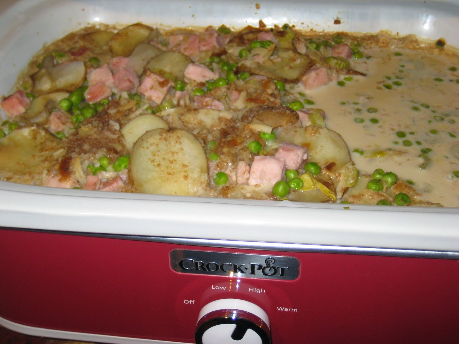 Pondering Cat: Casserole Slow Cooker