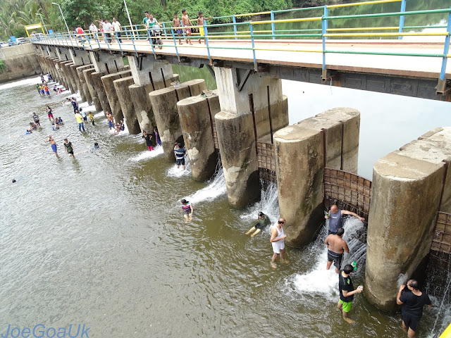 Dams to visit in Goa