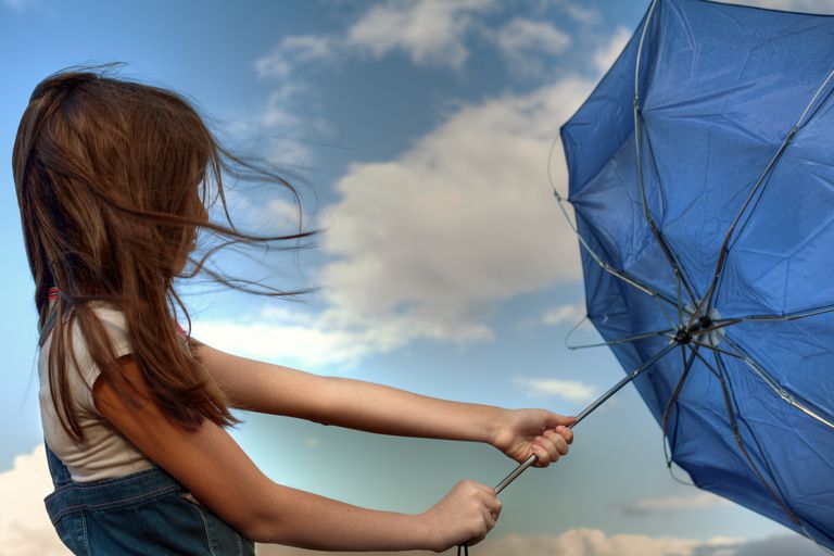 Daily Favor: Big Wind Day