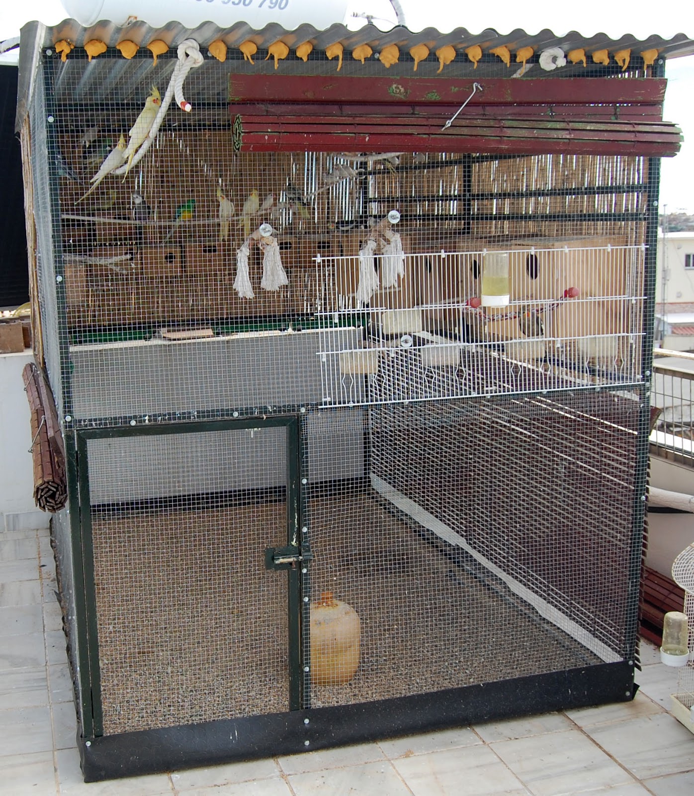 Aviario Juanma Garrán: Mi aviario