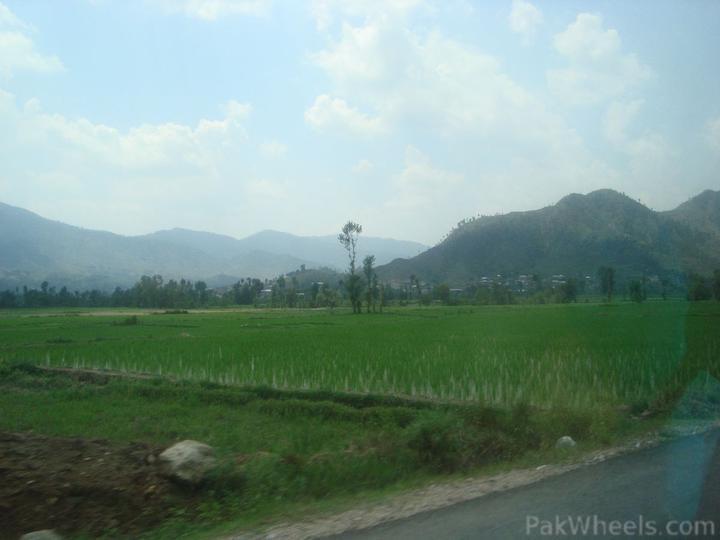 A PERFECT BLOG ABOUT SHINKIARI: Pictures Gallery