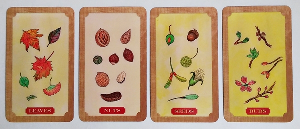 BOHEMIANESS: Oracle Deck Review: Tree of Life Oracle