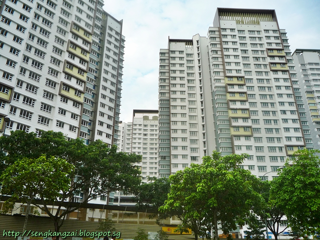 Zai@Sengkang: Fernvale Foliage (Year 13 Week 33)