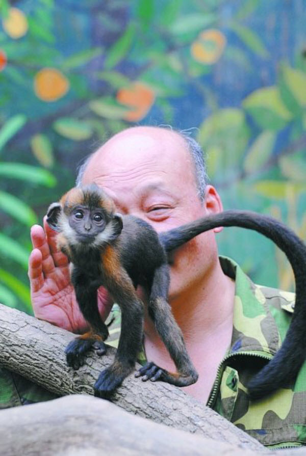 Good vs. Evil: My endless journey of curiosity: Zoo caretaker goes ...
