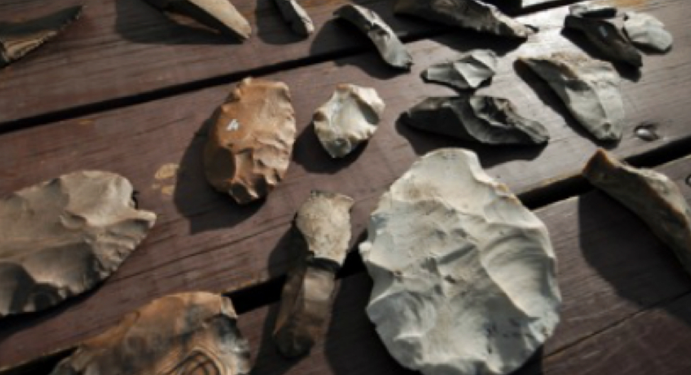 NephiCode: Are Wild Horses Native to the Americas – Part I