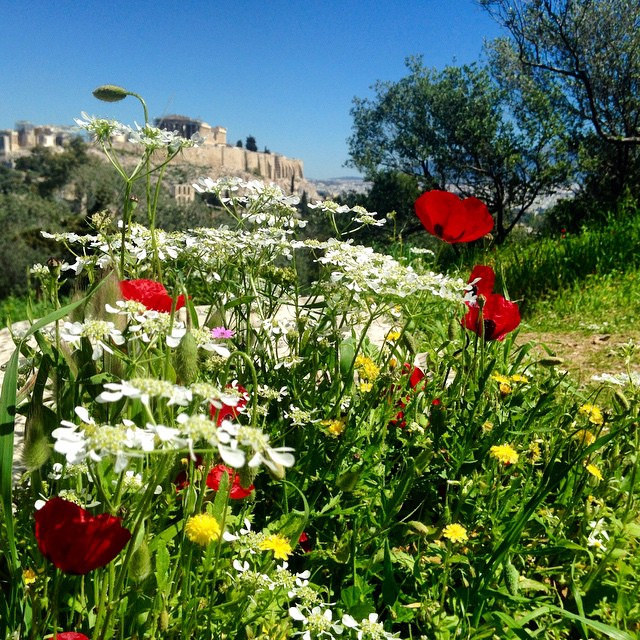 The passion of colors: Photos from Spring in Greece!