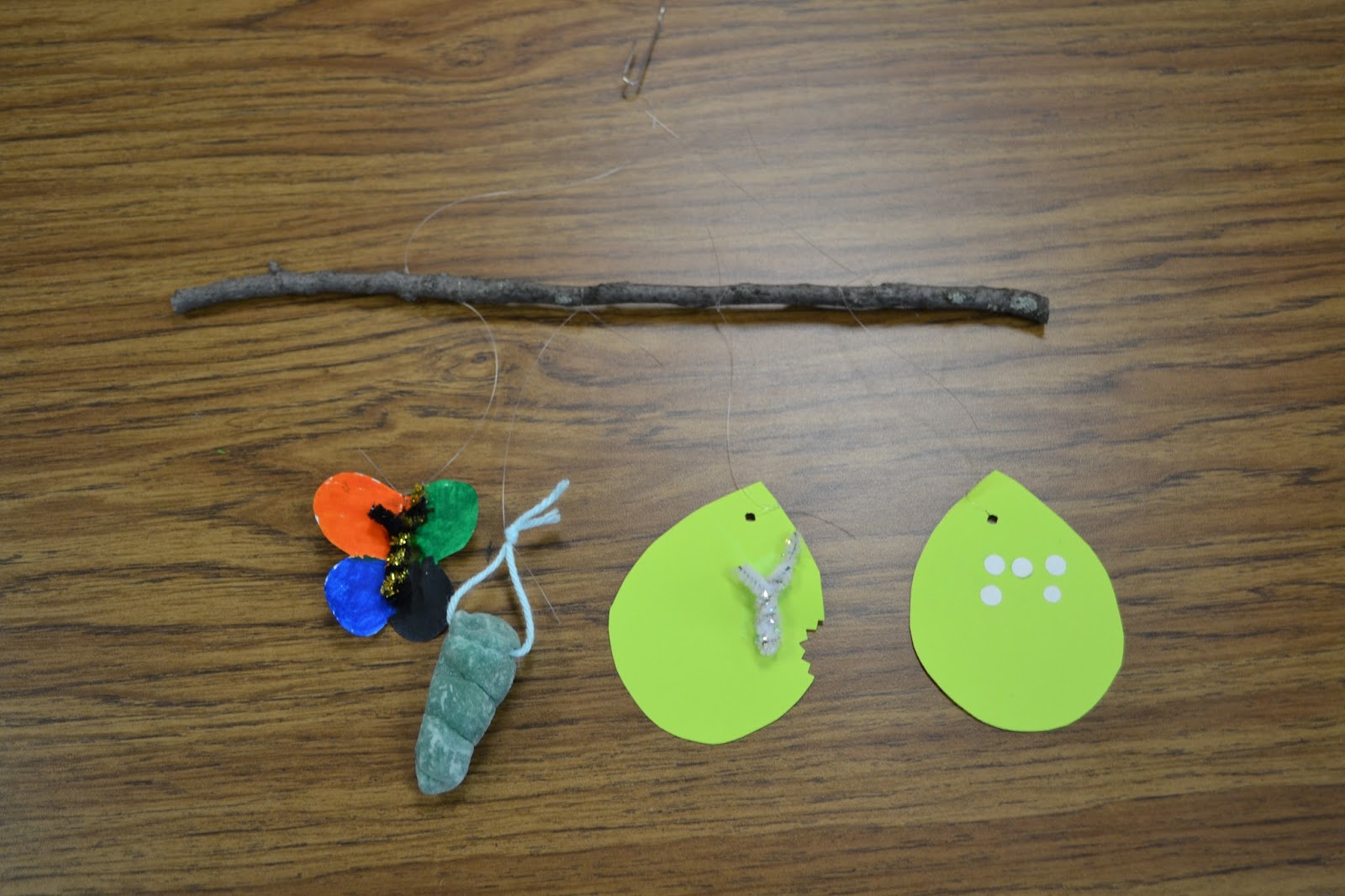 Mrs. Berry's Classroom: Butterfly Life Cycle