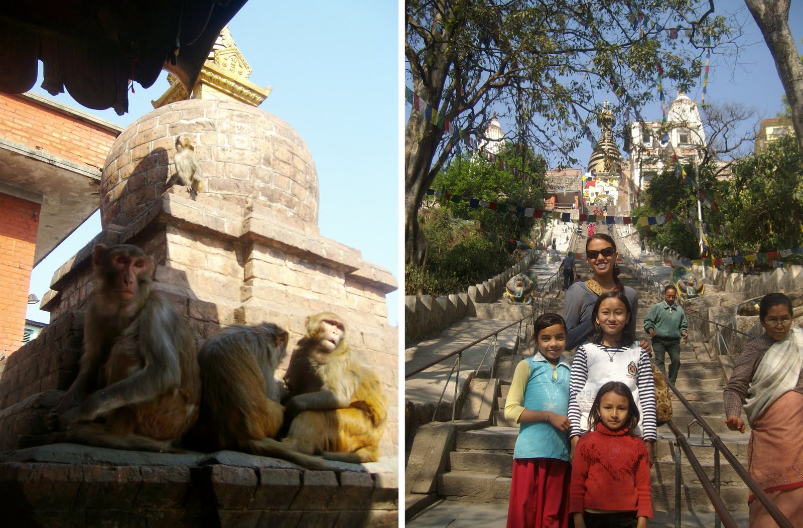 I Can See the World Through You: Monkey Temple Enlightenment