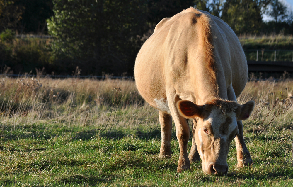Rob Bowker Photography: September 2012