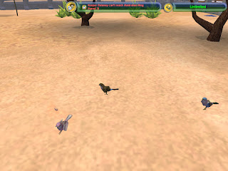 Cryptodraco: Pretty Parrots Australia and New Zealand for Zoo Tycoon 2