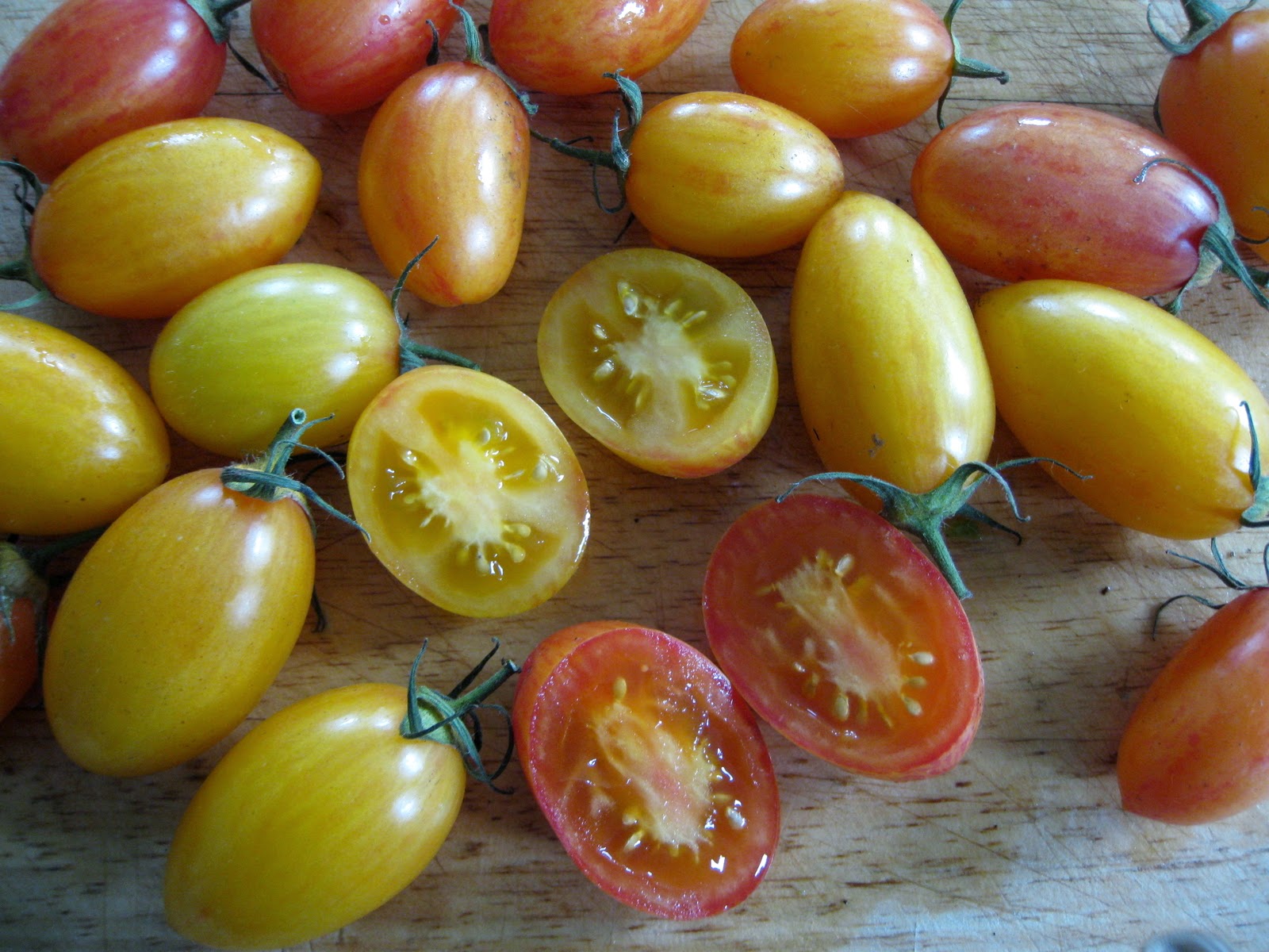 Mostly Tomato Mania: Choosing My Cherry Tomato Favourites