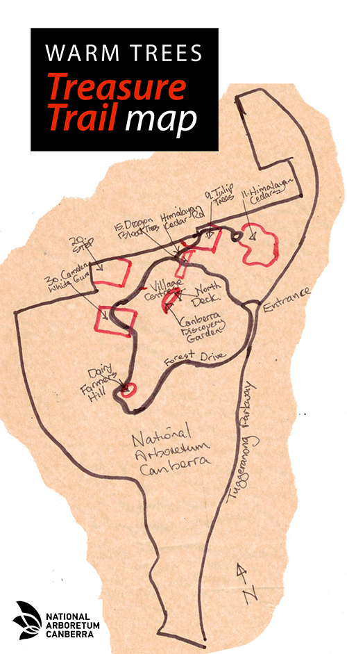 Friends of the National Arboretum Canberra: WARM TREES - 1 July to 31 ...