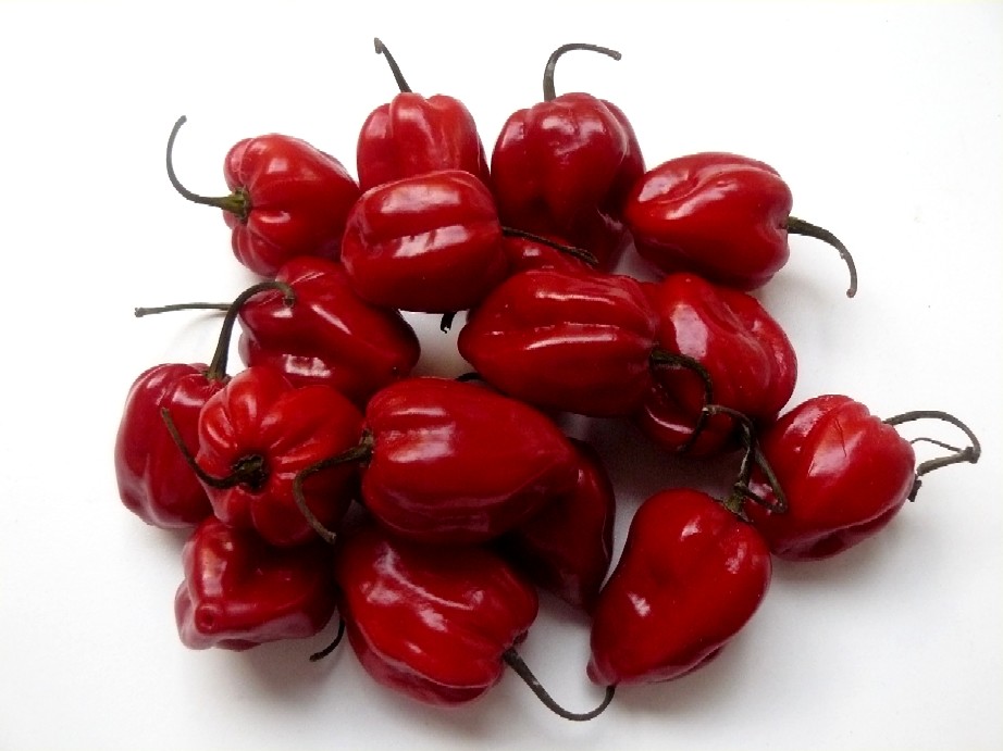 Outras Comidas: Piri-piri na Cozinha (Bhut Jolokia)