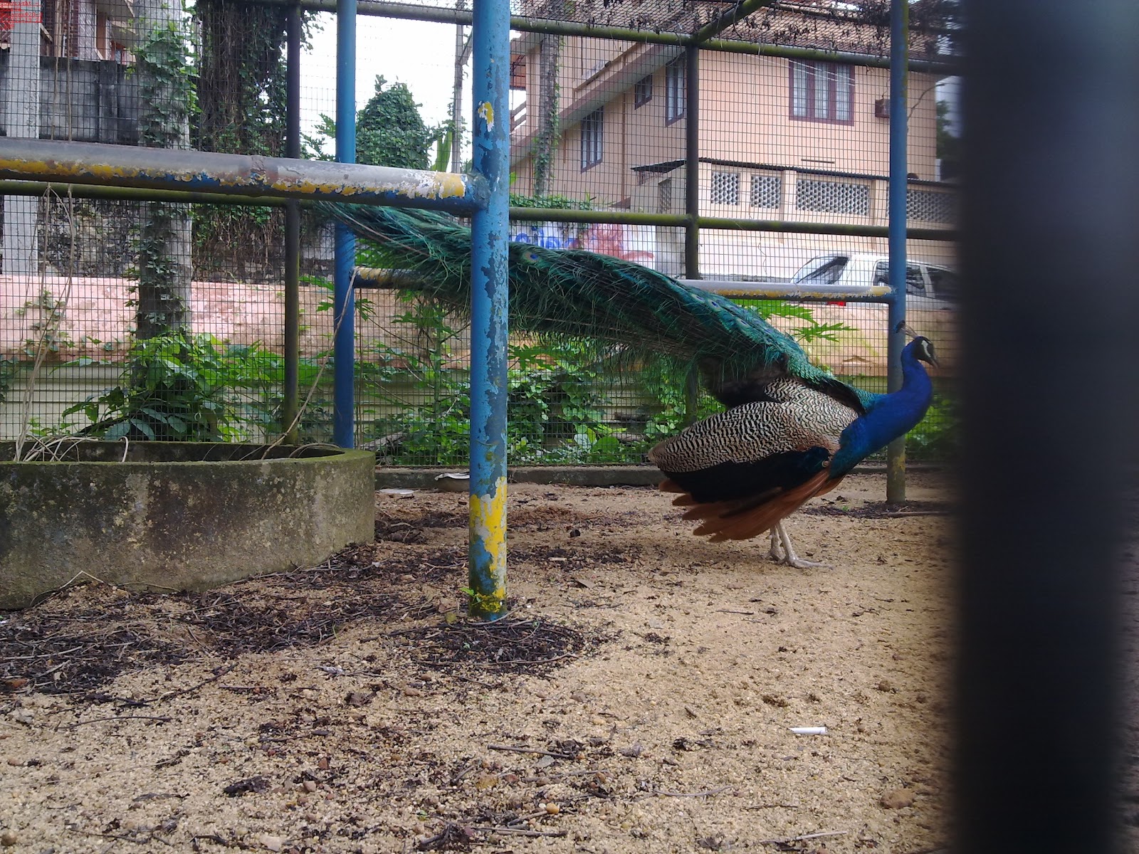 World through the aperture: Ulloor Subramanian Swamy Temple