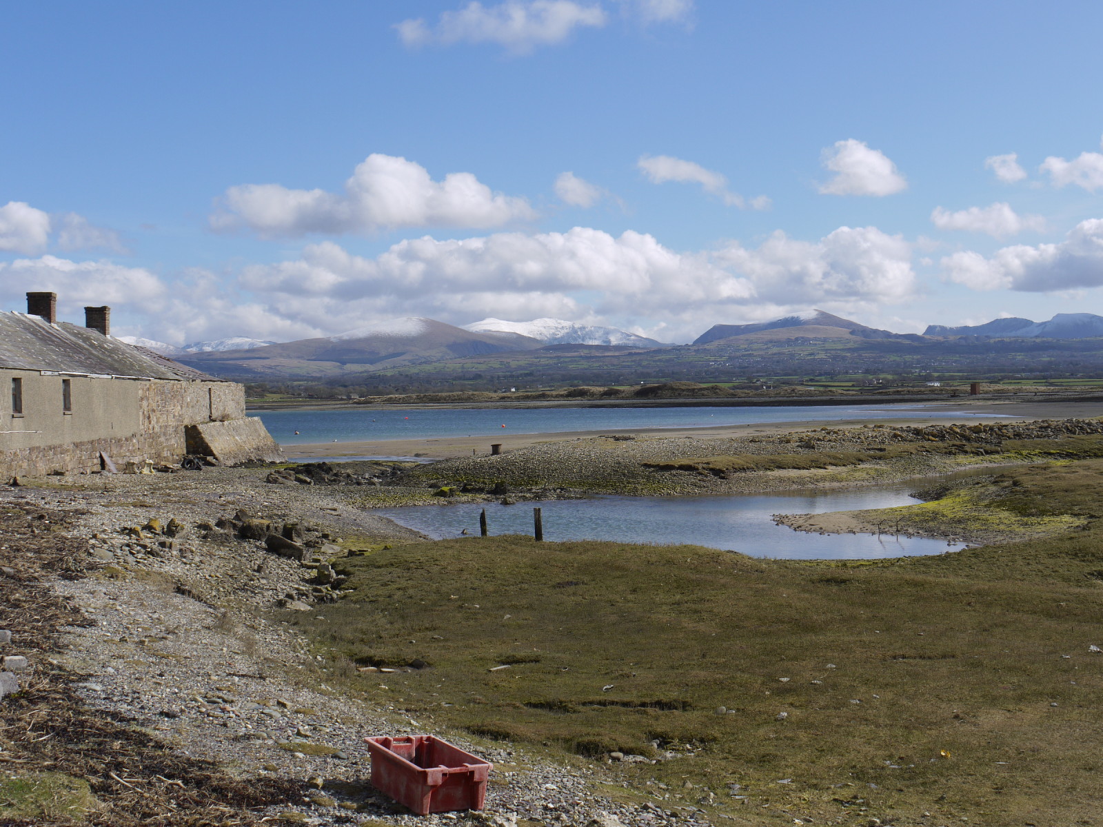KEEPER OF THE SNAILS: March 2011