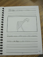 Ms.M's Blog: Animal Reserch Reports