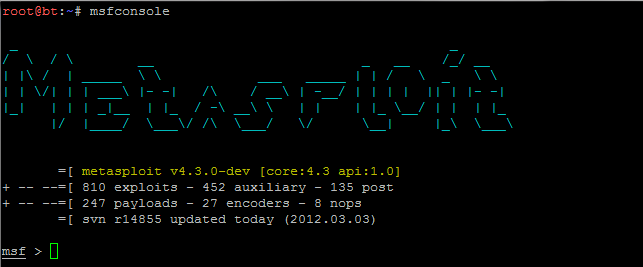 RaiderSec: Introduction to Metasploit