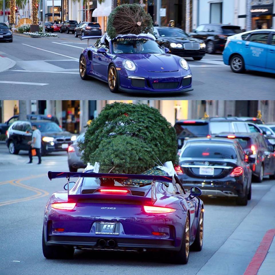 Plenum: Exotic Cars Carrying Christmas Trees!