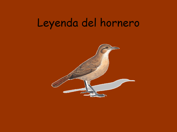 INFORMÁS 2012: Leyenda del hornero