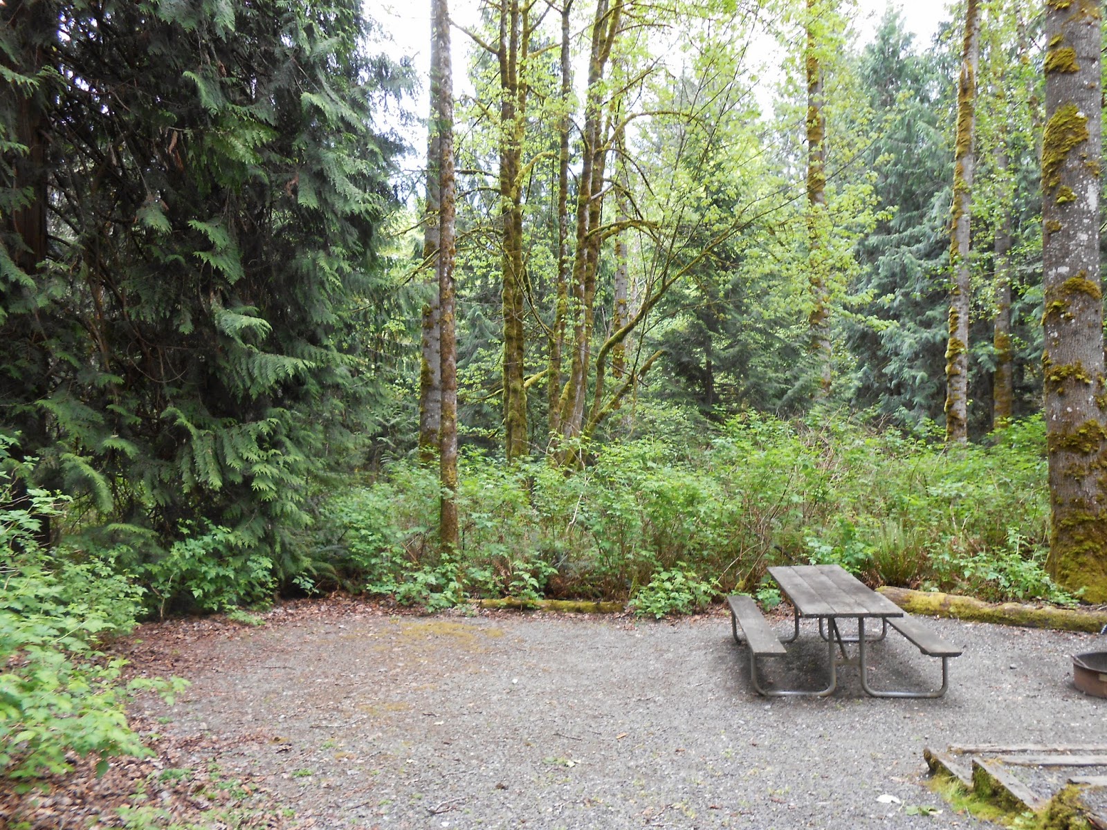 Diary of a Pair of RV Virgins: Flowing Lake County Park, Snohomish, WA