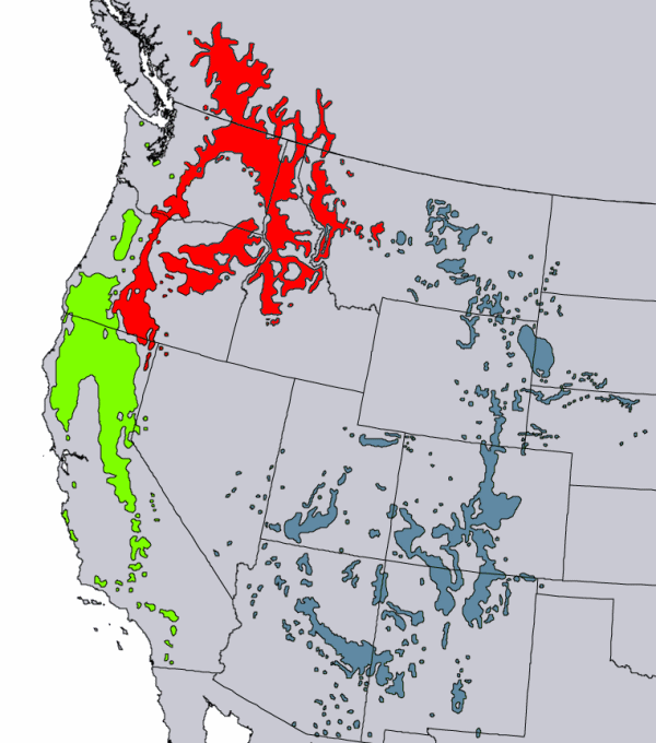 Northwest Conifer Connections: July 2018