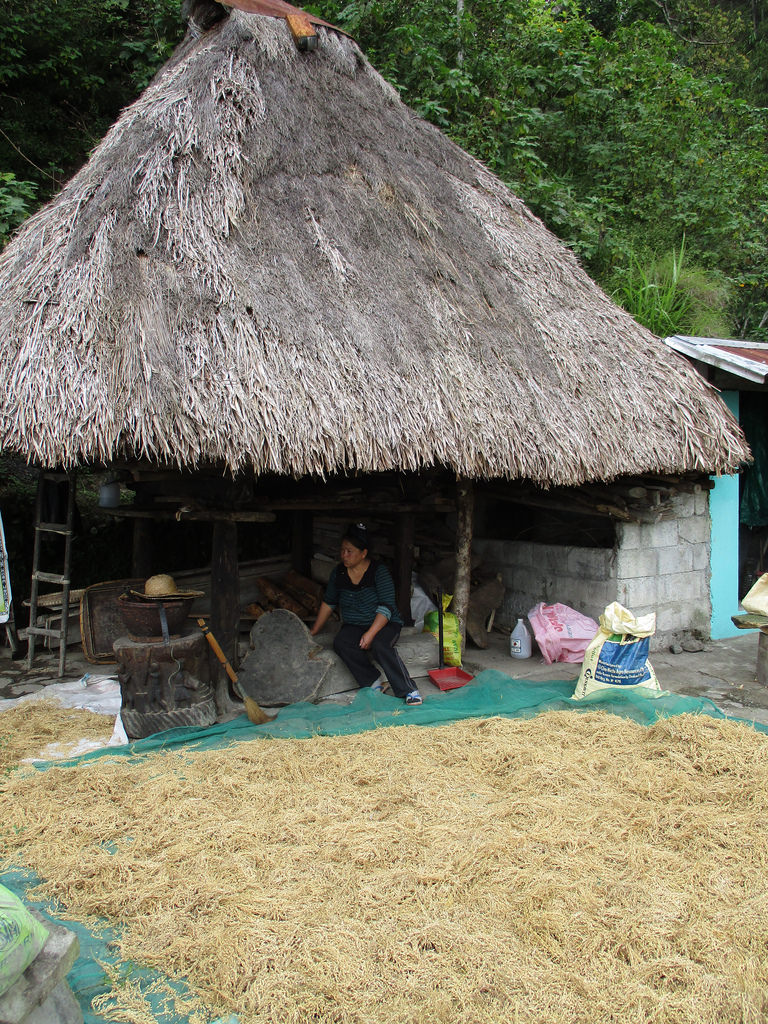ifugao house - philippin news collections