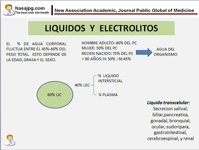 Distribución del agua corporal