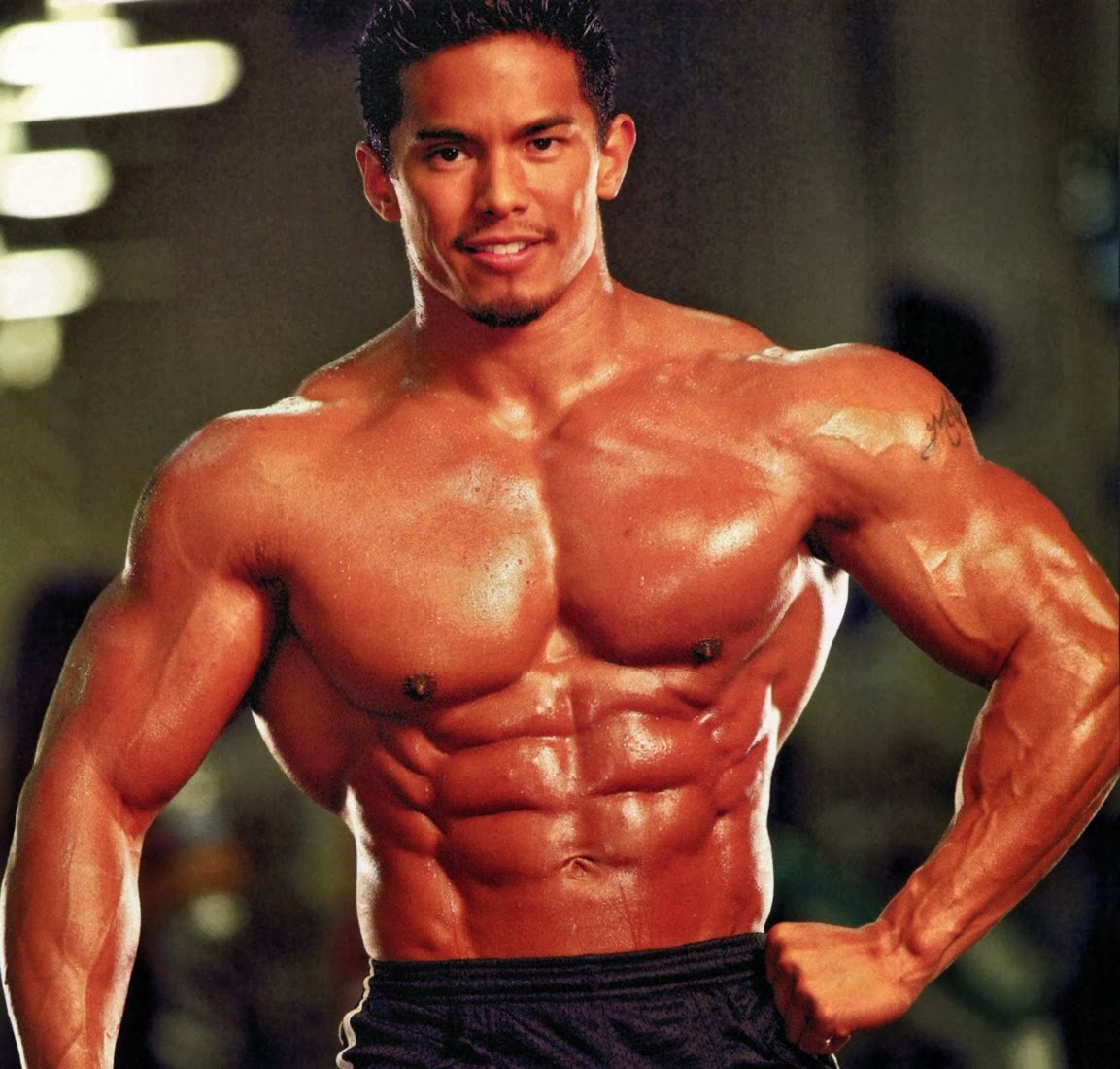 the beauty of male muscle: Stan