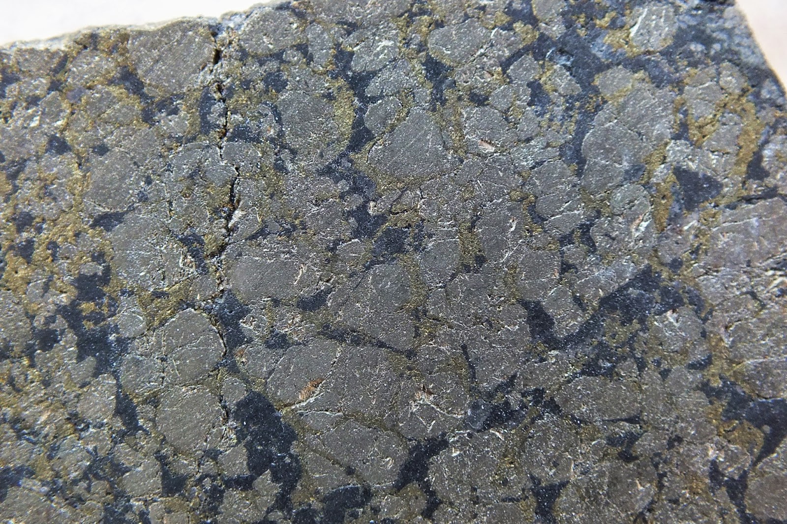 Rattlesnake Hills Gold Discovery, Wyoming: GOLD RUSH WYOMING!