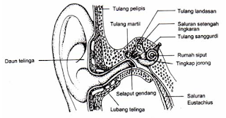 MEKANISME | One for all