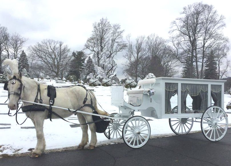 New Jersey Horse Drawn Funeral Carriages Hearses and Caisson: Horse ...