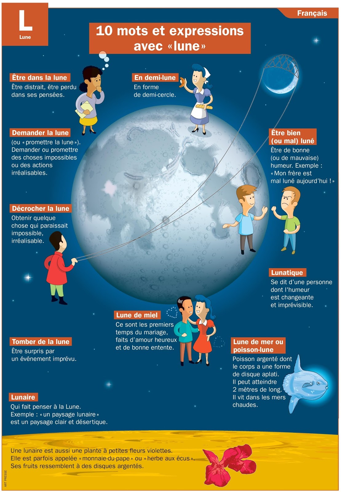 TICs en FLE: Expressions françaises illustrées