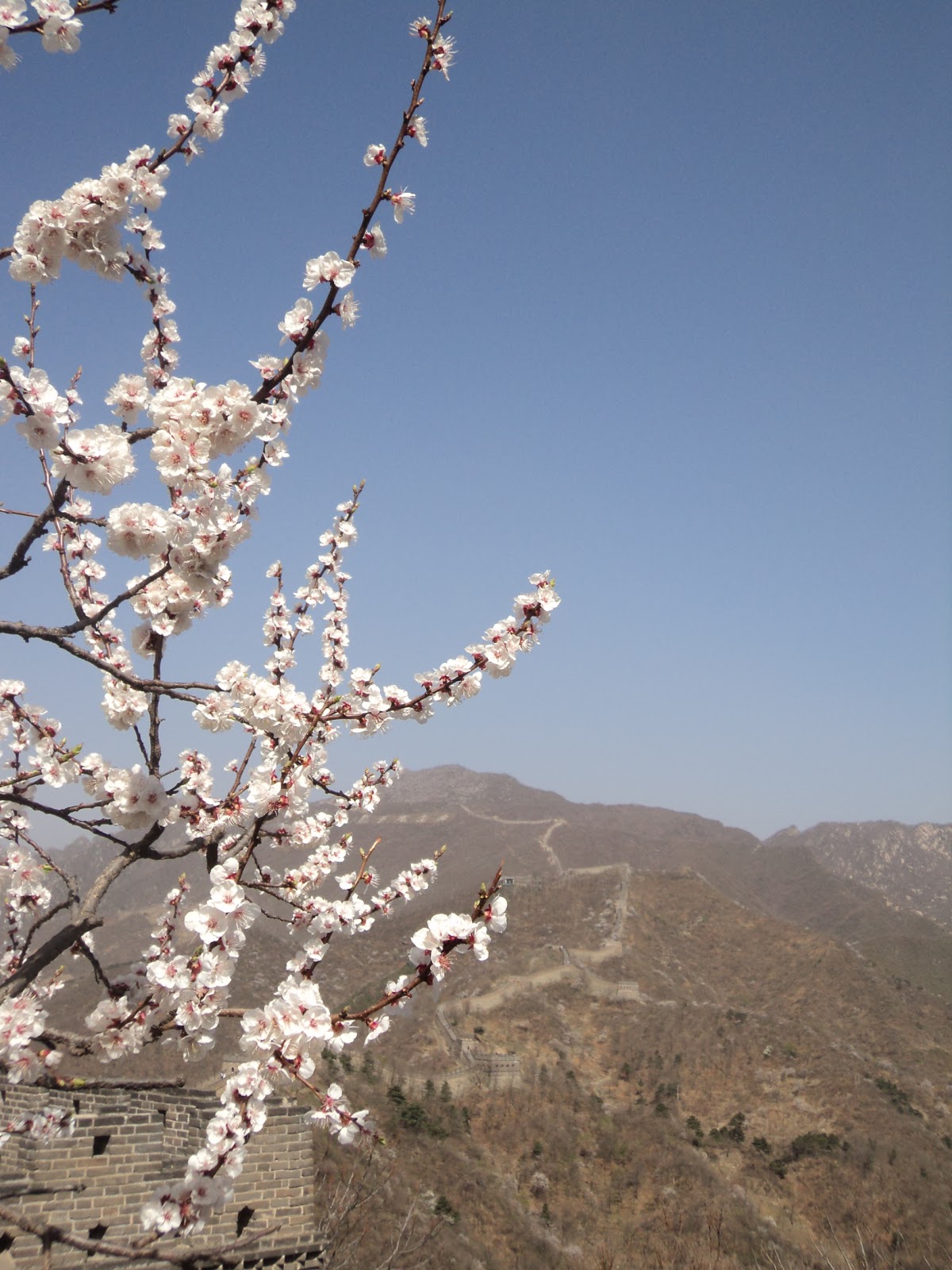 My Itinerary: Three Full Spring Days in Beijing