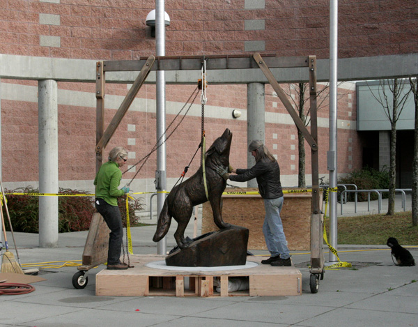 Georgia Gerber: Timberwolf Installed at Henry M. Jackson High School ...