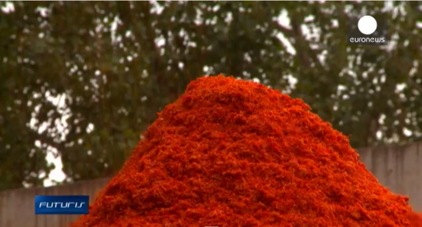 Sobre a produção de verniz a partir de resíduos industriais de tomate ...