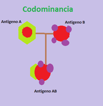 Blog Grupal 4C: Dominancia incompleta, Codominancia (Ejemplos)