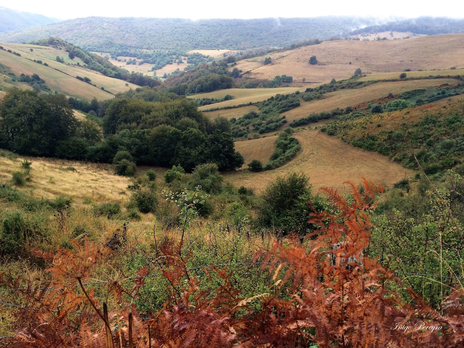 El Puente Lejano: Navarra - De Garralda a Burguete