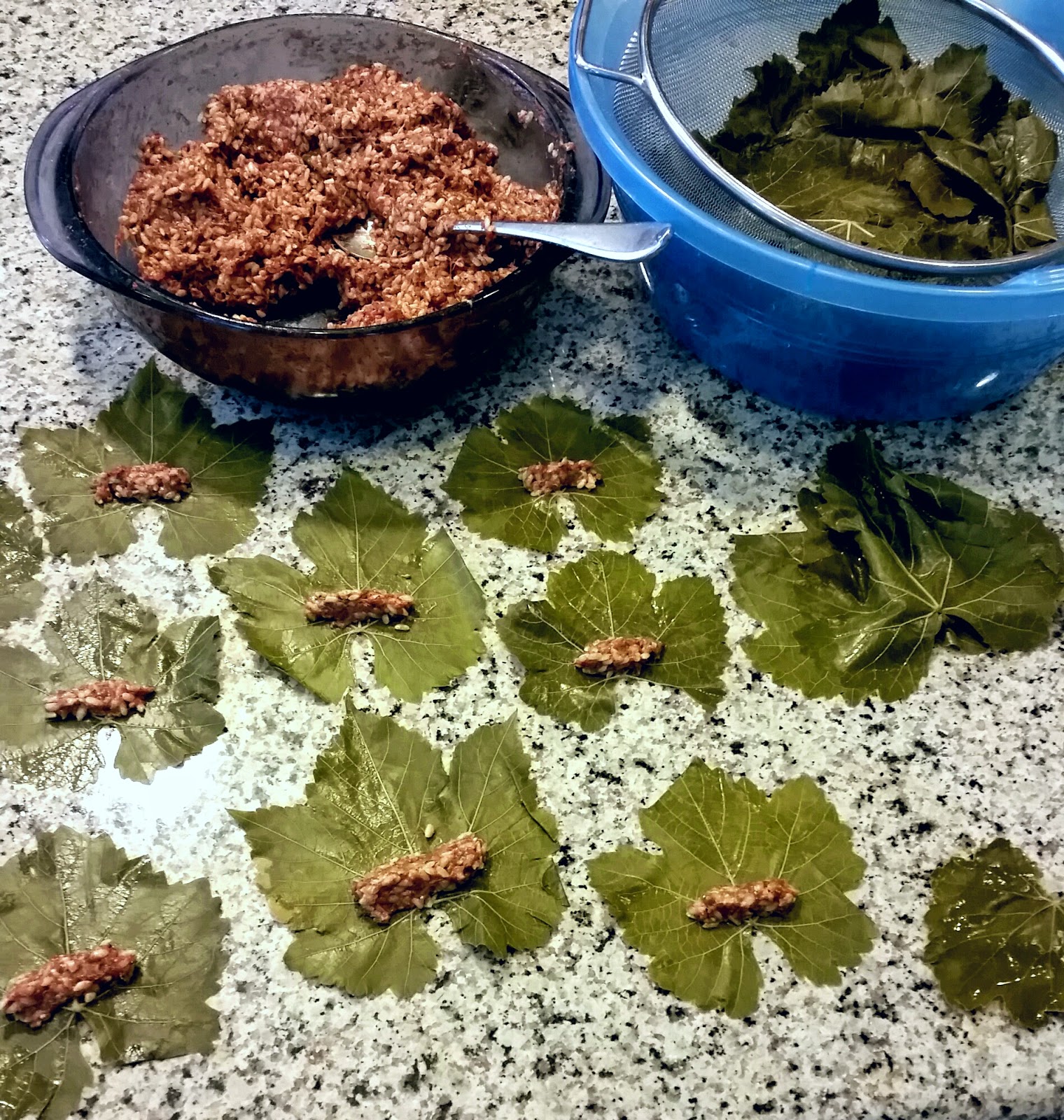 Savvy Chef: Grape Leaves stuffed with Meat and Rice