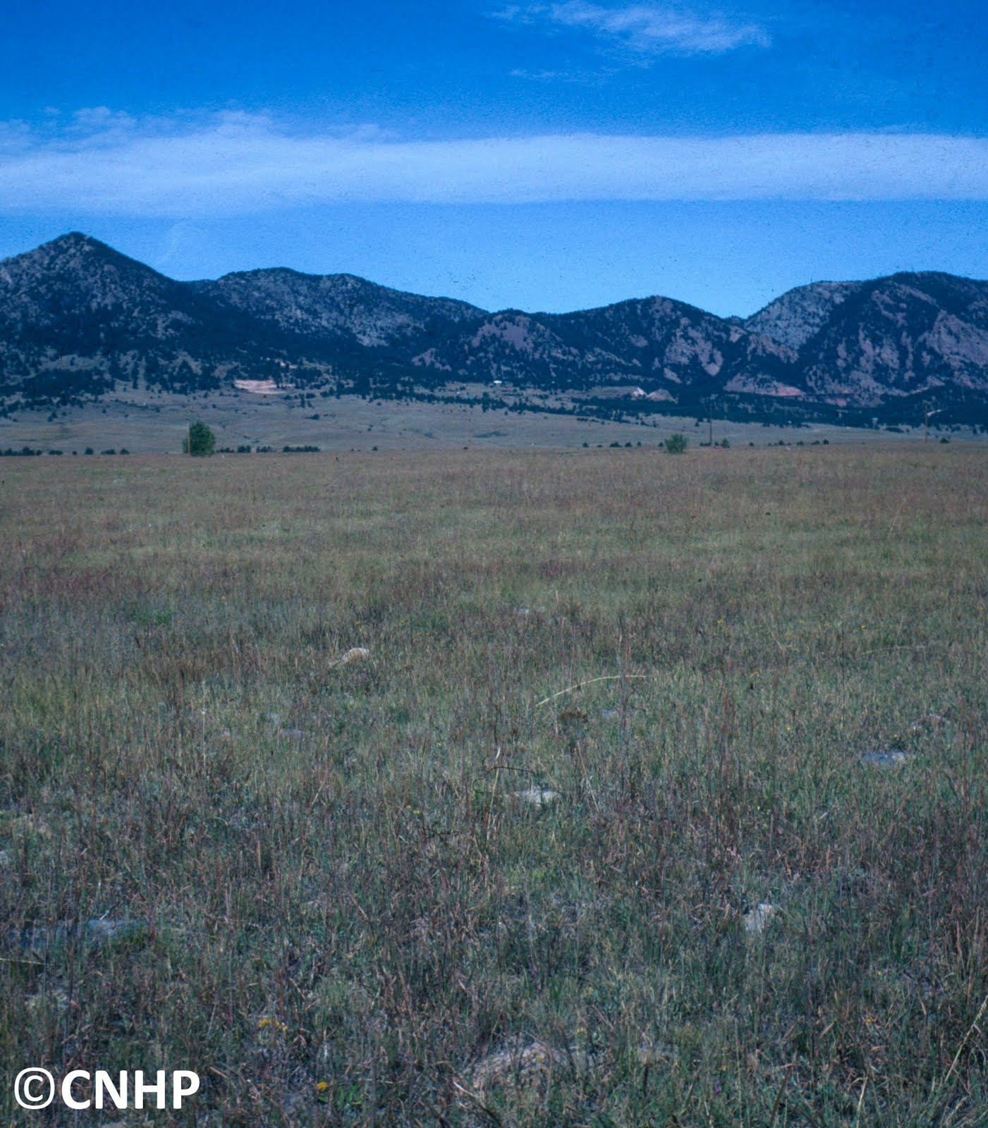 CNHP Blog: Ecological systems: Grasslands
