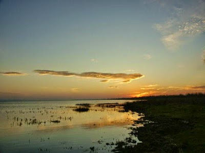 Epaminonda's Blog.....: PARMA - ITALIA