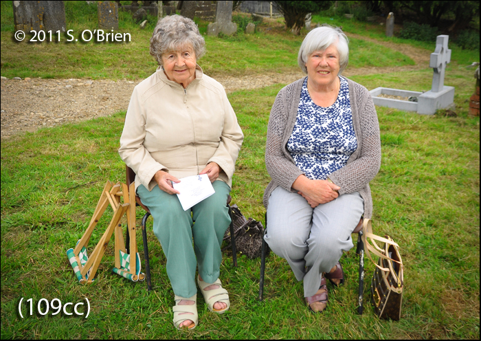 Portlaw: 109 Mass at Clonagam Cemetery.