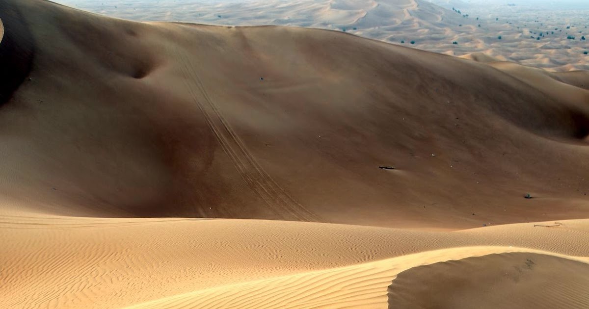Z daleka i bliska: Pustynia Arabska/Arabian Desert 4