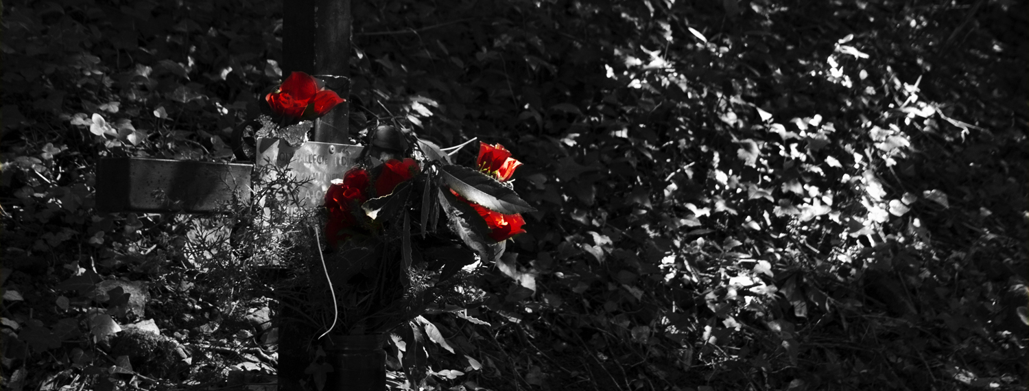 Píldoras Diminutas: Carta de un ser inmortal