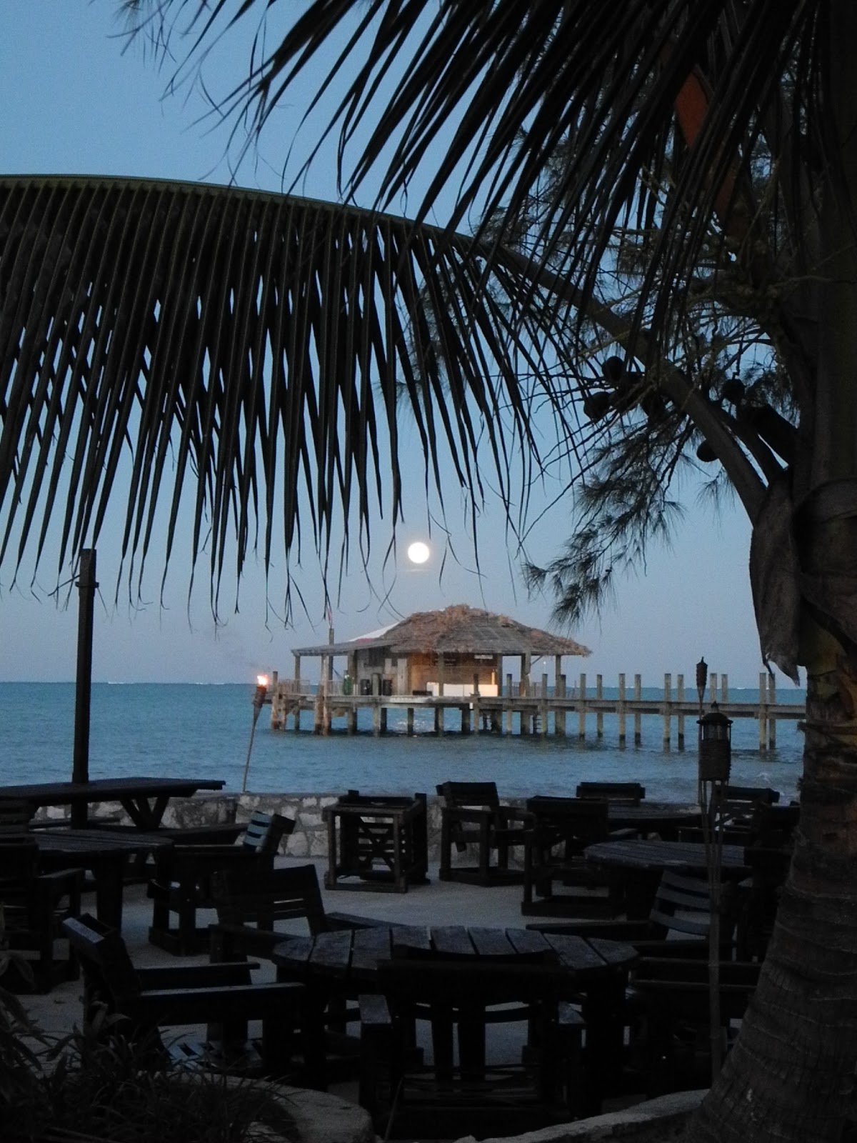 Small Hope Bay Lodge Andros Island Bahamas: A Beautiful Night at Small ...
