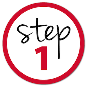 The QIDP: The First Part of a POC for The ICF/IID Program