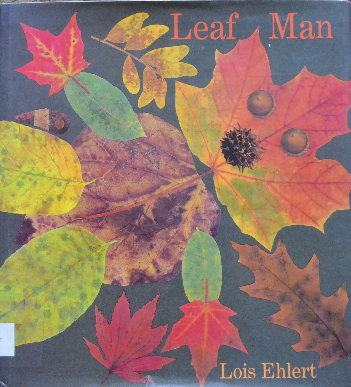 Book Blab - Blithering by a Book Lover: Leaf Man ~ Picture Book & KID KANDY