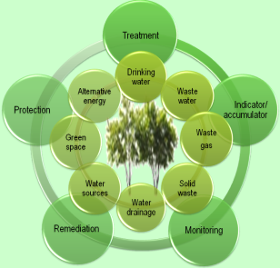 Nurse Advocate: Environmental Sanitation